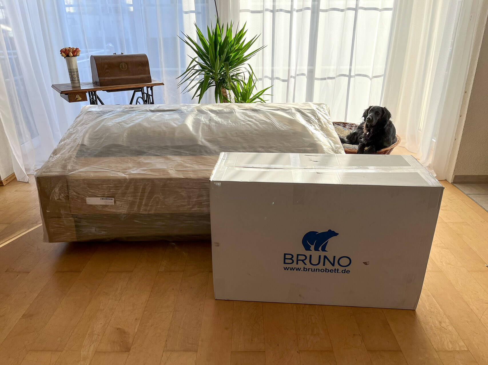 Bruno Sofa Bed Review UK | 2023