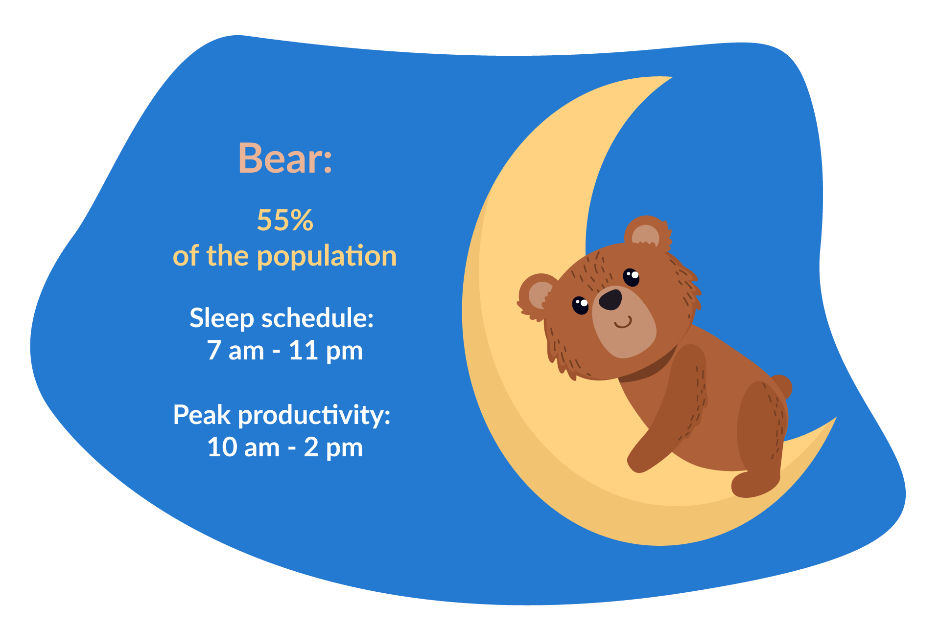 Chronotypes: Definition, Types & Your Sleep Patterns | 2025