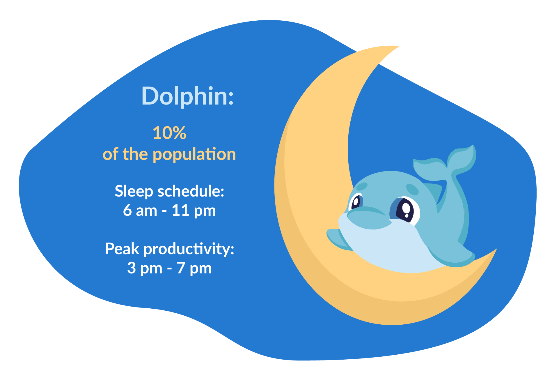 Chronotypes: Definition, Types & Your Sleep Patterns | 2025