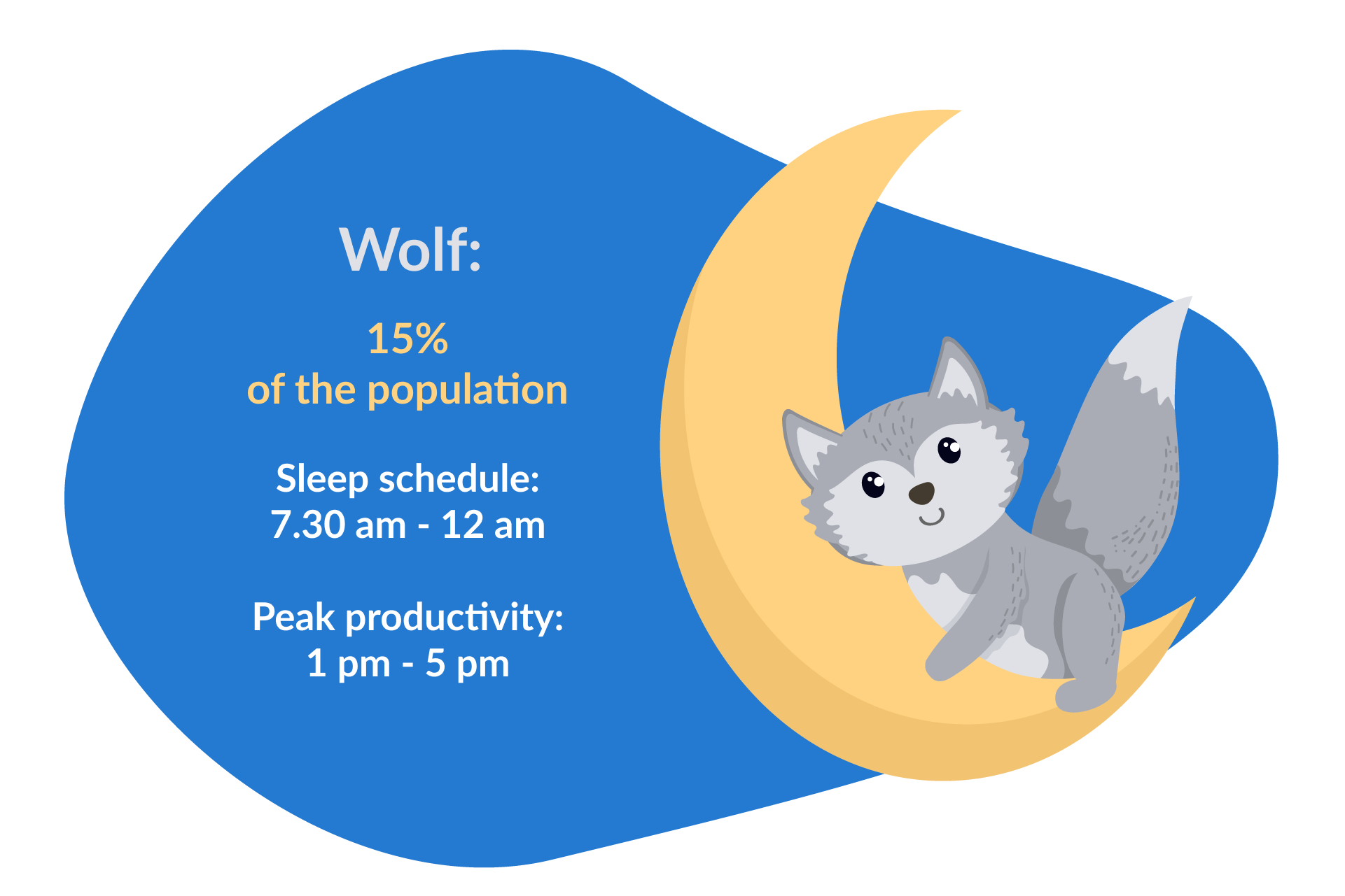 Chronotypes: Definition, Types & Your Sleep Patterns | 2025